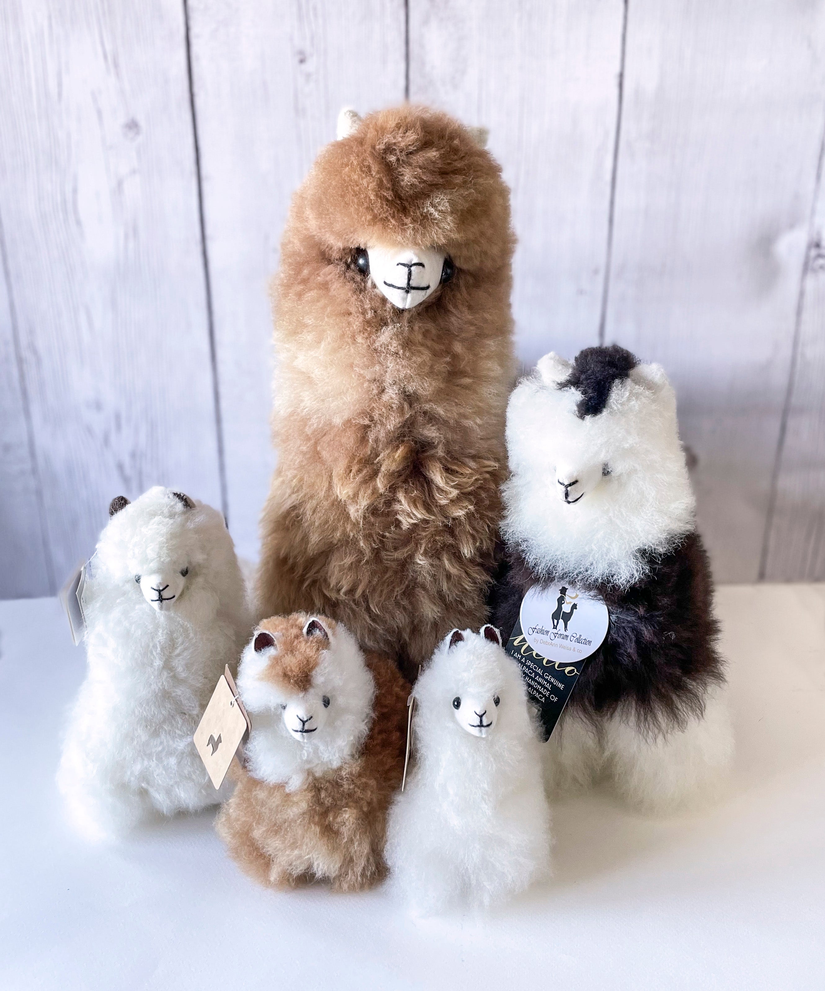 Furry Alpacas & Friends – The Artsy Farmer